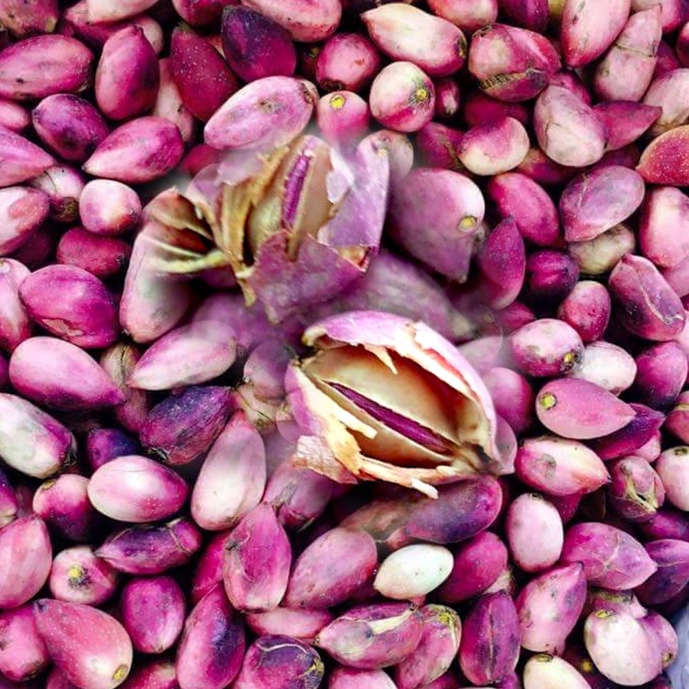 Fadi Fruits - Freshness Delivered Daily – FadiFruits